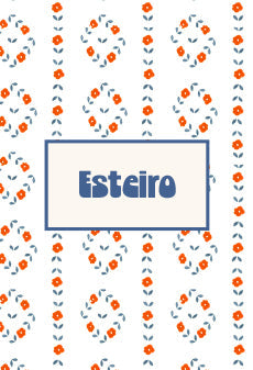 Esteiro – BIRINIT